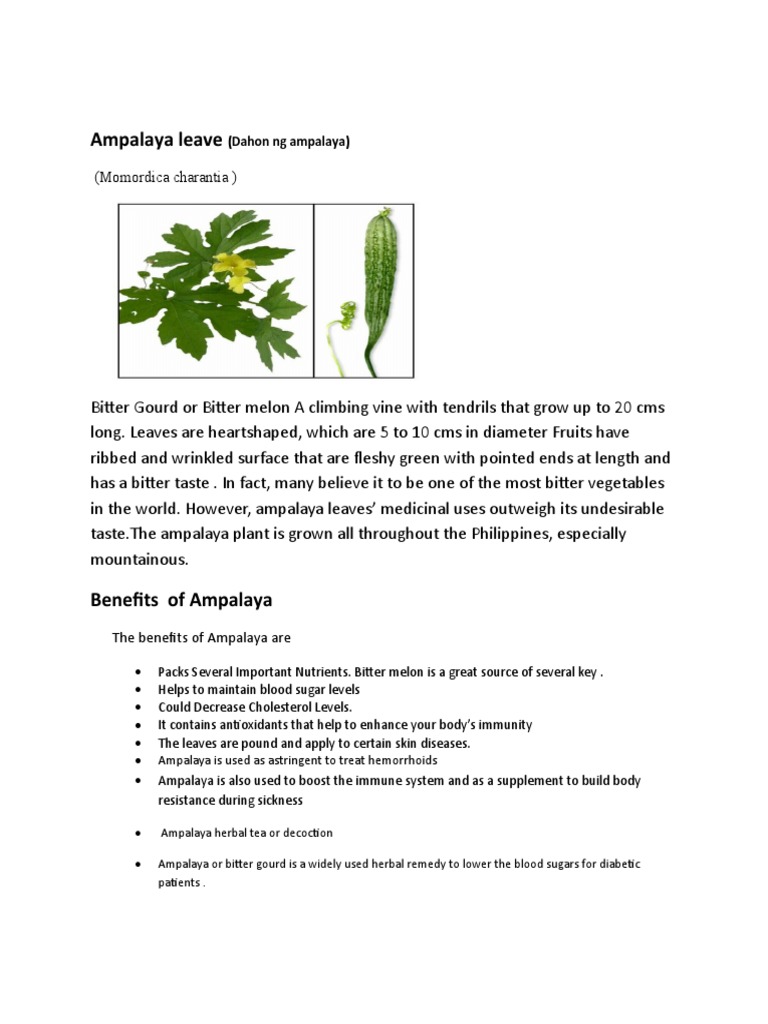 Bitter Gourd (D-WPS Office | PDF | Dose (Biochemistry) | Chemistry