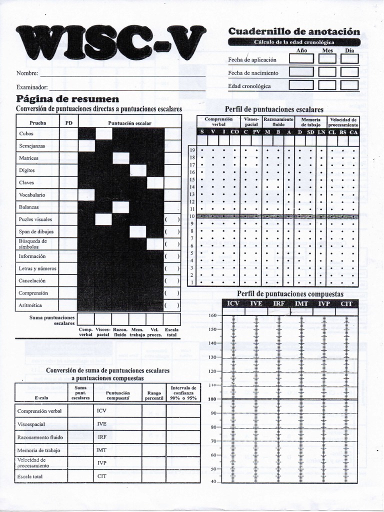 PROTOCOLO+WISC+V | PDF