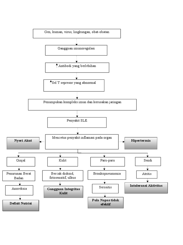 Pathway Sle | PDF