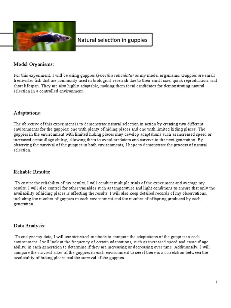 Natural Selection Experiment With Gruppies | PDF | Natural Selection ...