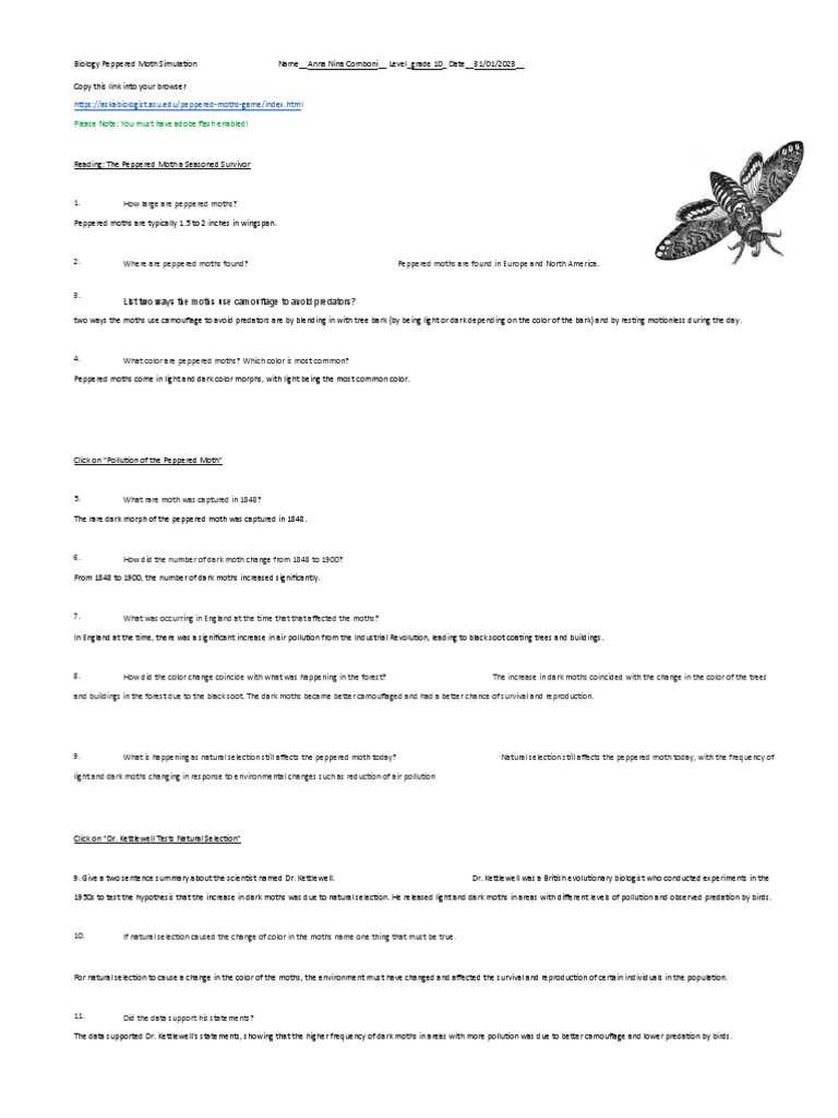 IB MYP U7 Peppered Moth Activity Solutions | PDF | Natural Selection ...