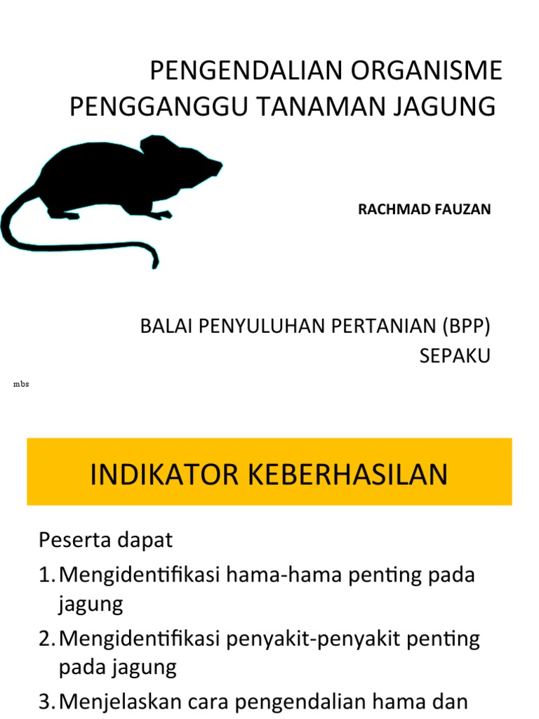 Jagung 6 Pengendalian OPT | PDF