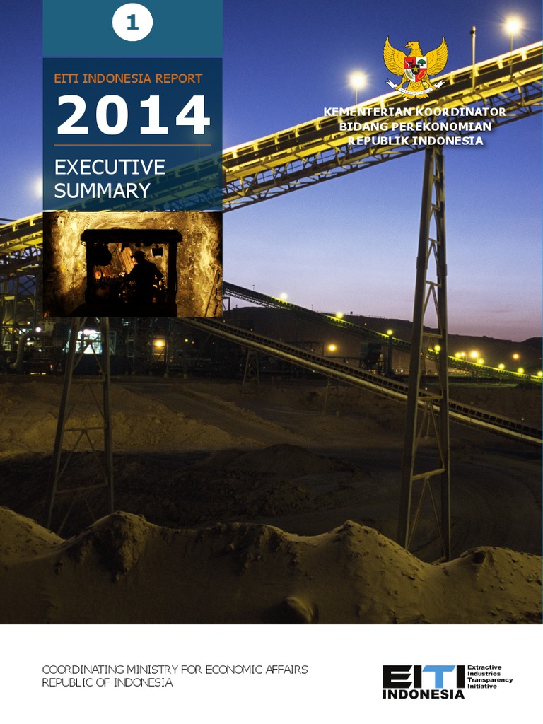 Vol 1 Executive Summary English | PDF