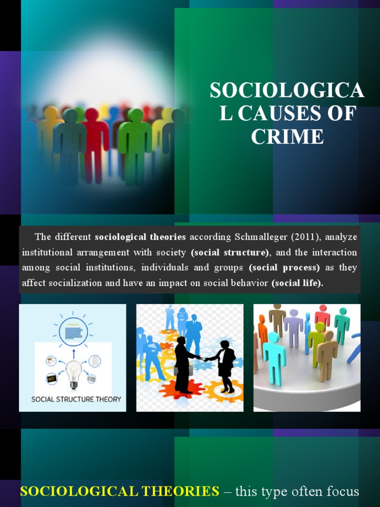 Sociological Causes of Crime Explained | PDF | Socialization | Psychology