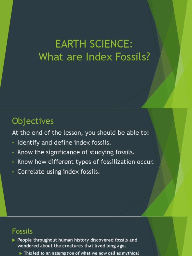 Fossils | PDF | Fossil | Geologic Time Scale