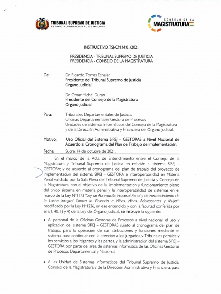 Instructivo 01 TSJ-CM Implementación Sirej-Gestora | PDF