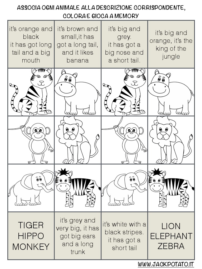 Memory Zoo Animals | PDF