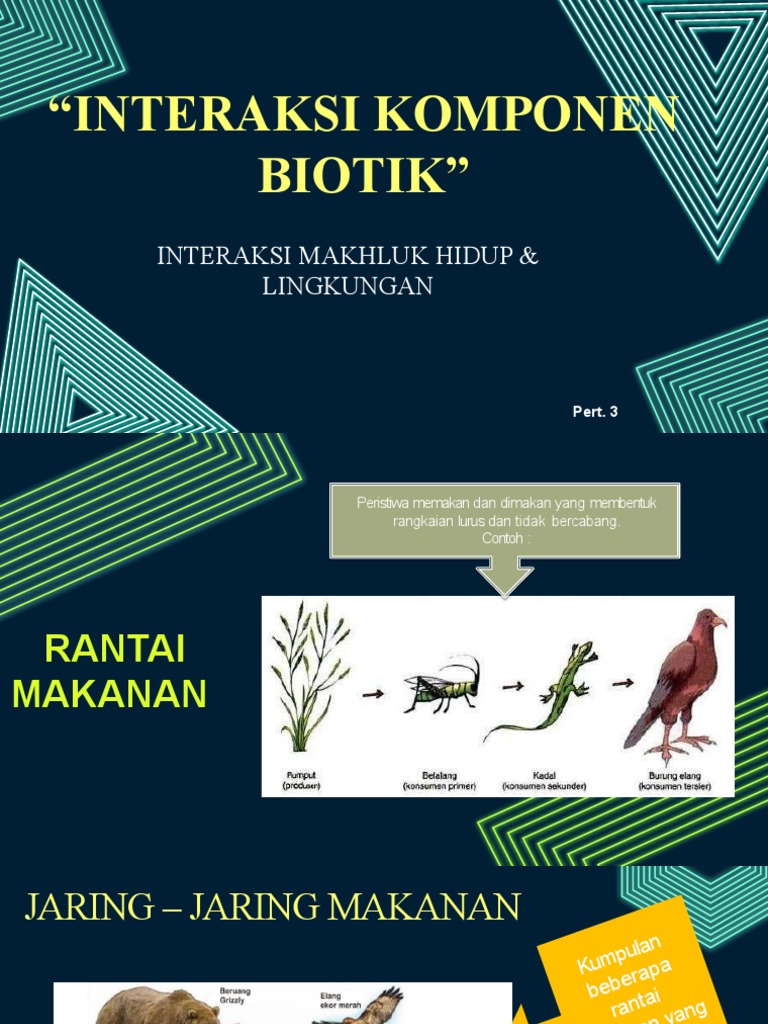 Interaksi Komponen Biotik | PDF