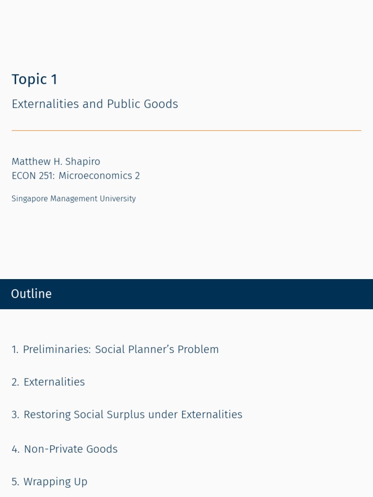 Lecture 2 - Externalities - Updated | PDF | Externality | Economic Surplus