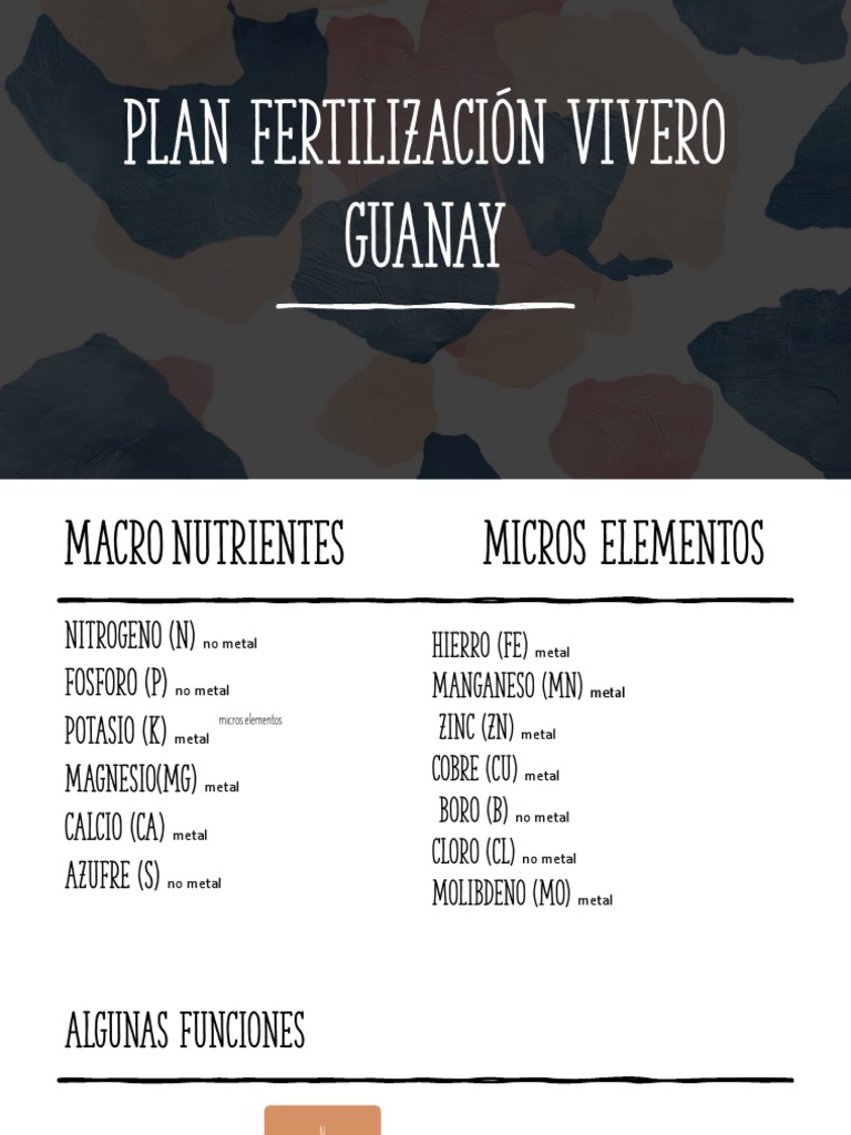 Plan de Fertilización para Viveros | PDF | Fertilizante | Rieles