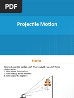 Projectile Motion (Worksheet) | PDF | Projectiles | Motion (Physics)
