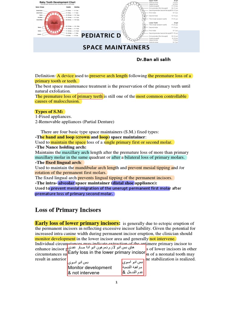 Pedo Lec 6 | PDF | Dentistry Branches | Dental Anatomy