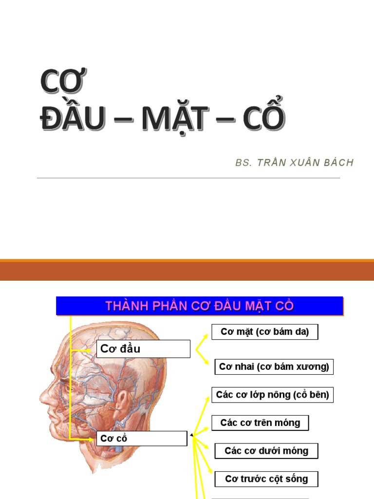 4a.co Dau Mat Co | PDF