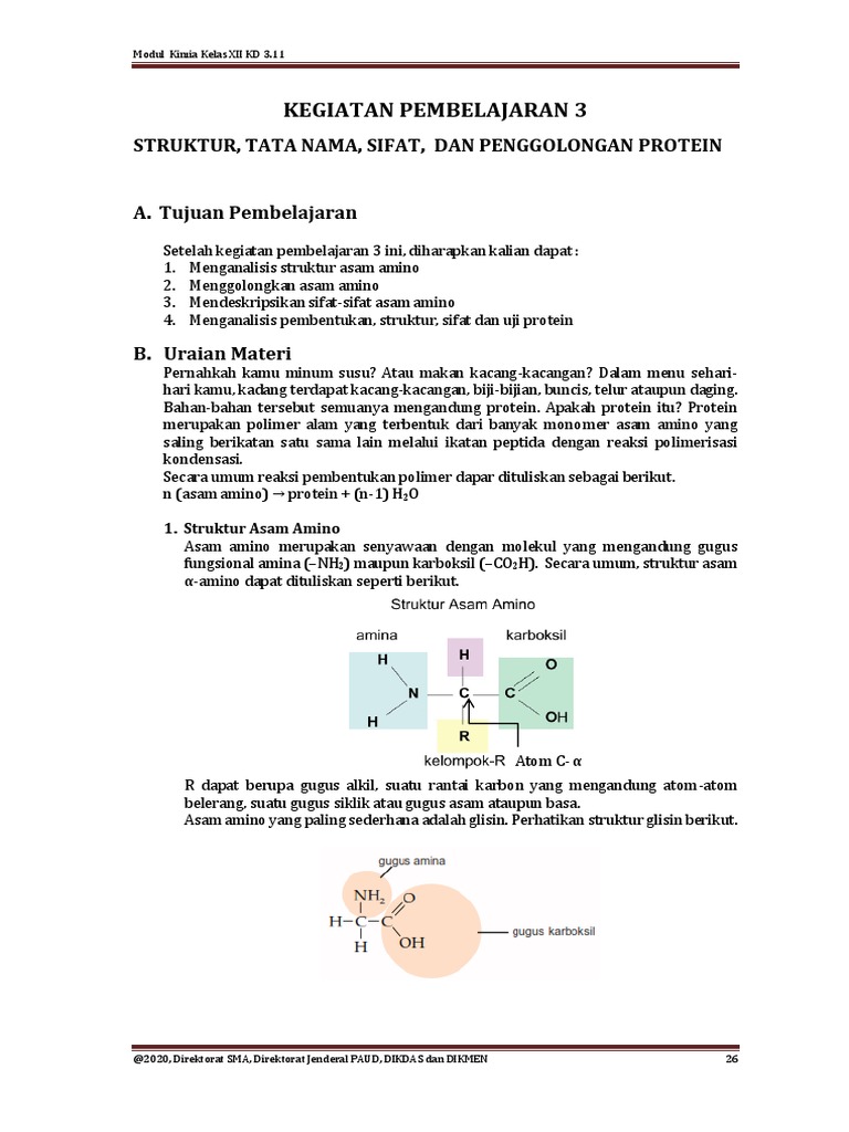 Protein | PDF