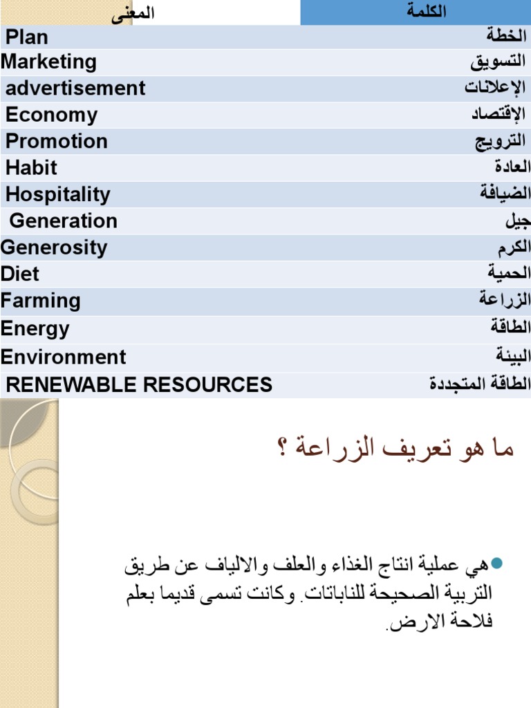Arabic Revision PPT For Final Term | PDF