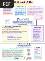 The Living World Mind Map | PDF | Taxonomy (Biology) | Organisms