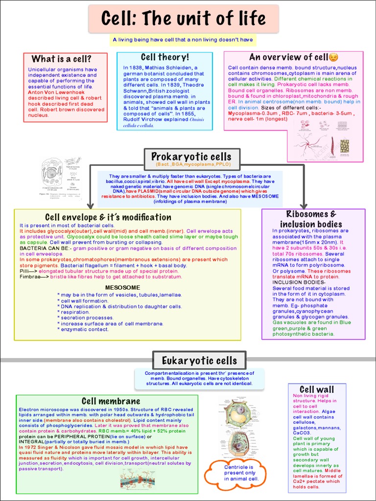Cell - The Unit of Life Mind Map | PDF | Cell (Biology) | Cell Membrane