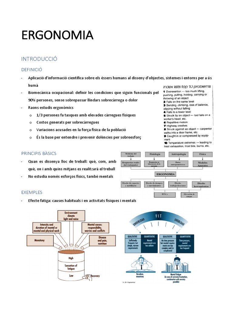 ERGONOMIA | PDF