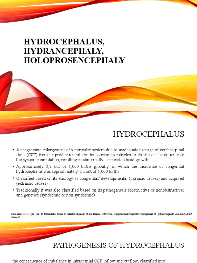 Prenatal Diagnosis of Hydrocephalus | PDF