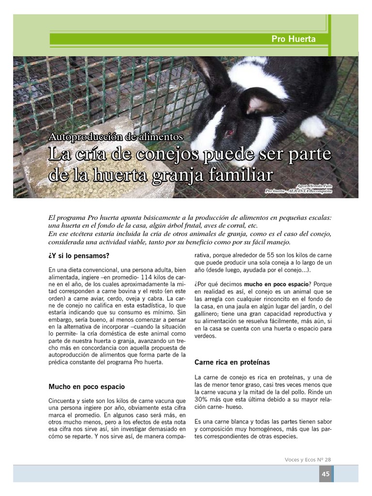 Cria De Conejos Inta Pdf Carne Alimentos