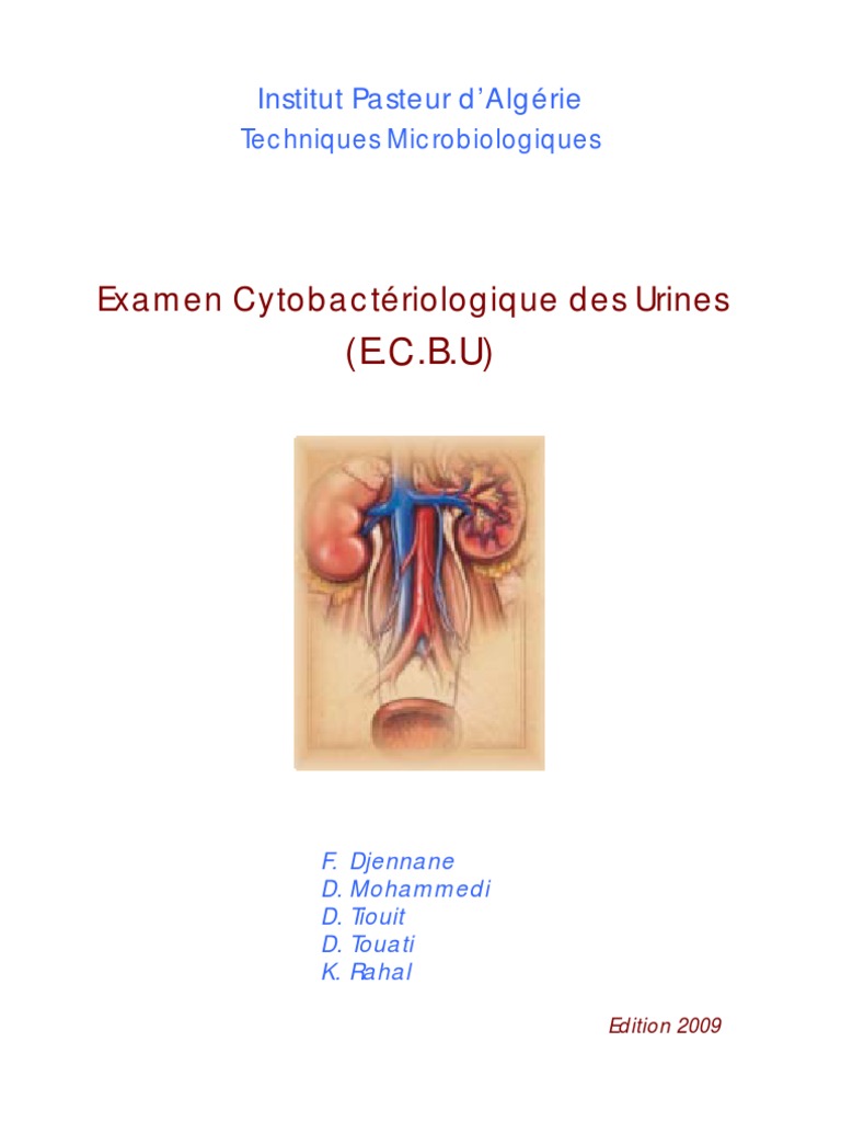 Examen Cytobacteriologique Des Urines IPA | PDF | Urine | Infection ...