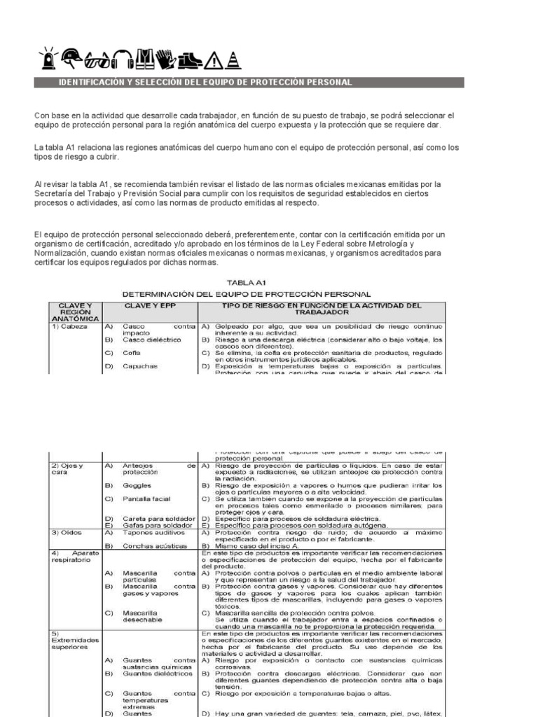 Nom 017 Stps Auditar Epp 2 | PDF