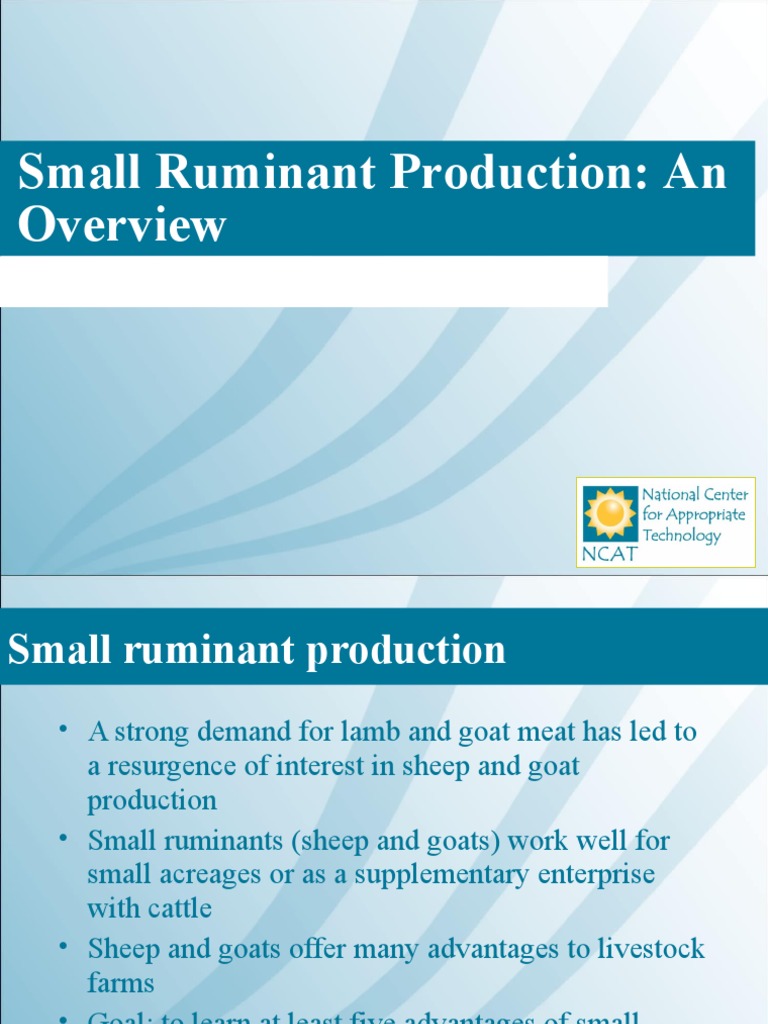 Small Ruminant Production An Overview | PDF | Sheep | Goat