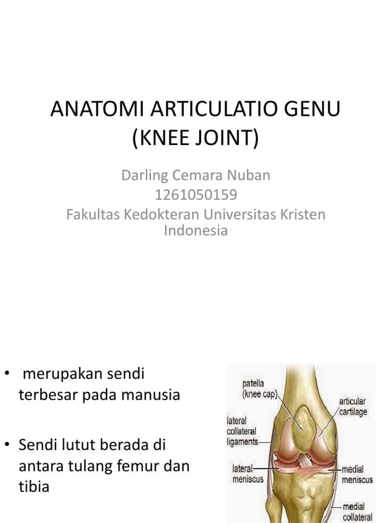 Artikulasio_Genu_anatomi_sendi_lutut | PDF