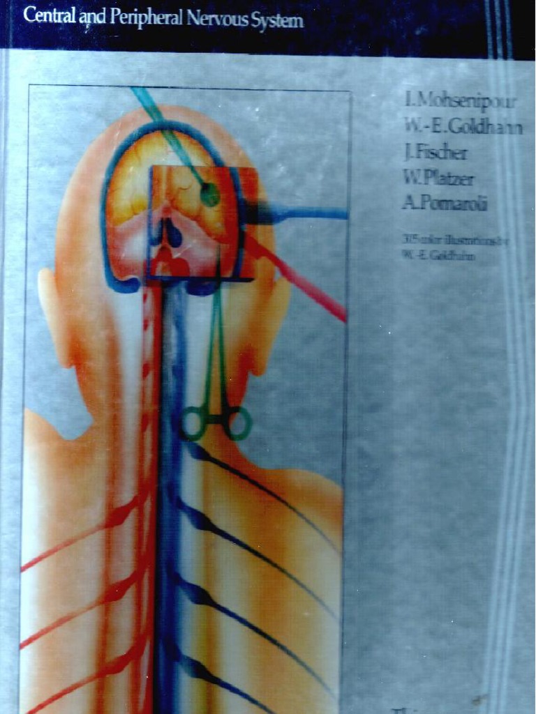 Approaches in Neurosurgery | PDF | Vertebral Column | Surgery
