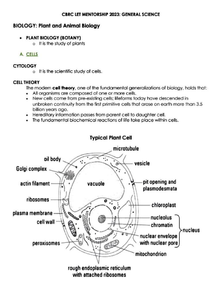 Plant and Animal Science | PDF | Cell (Biology) | Plant Stem