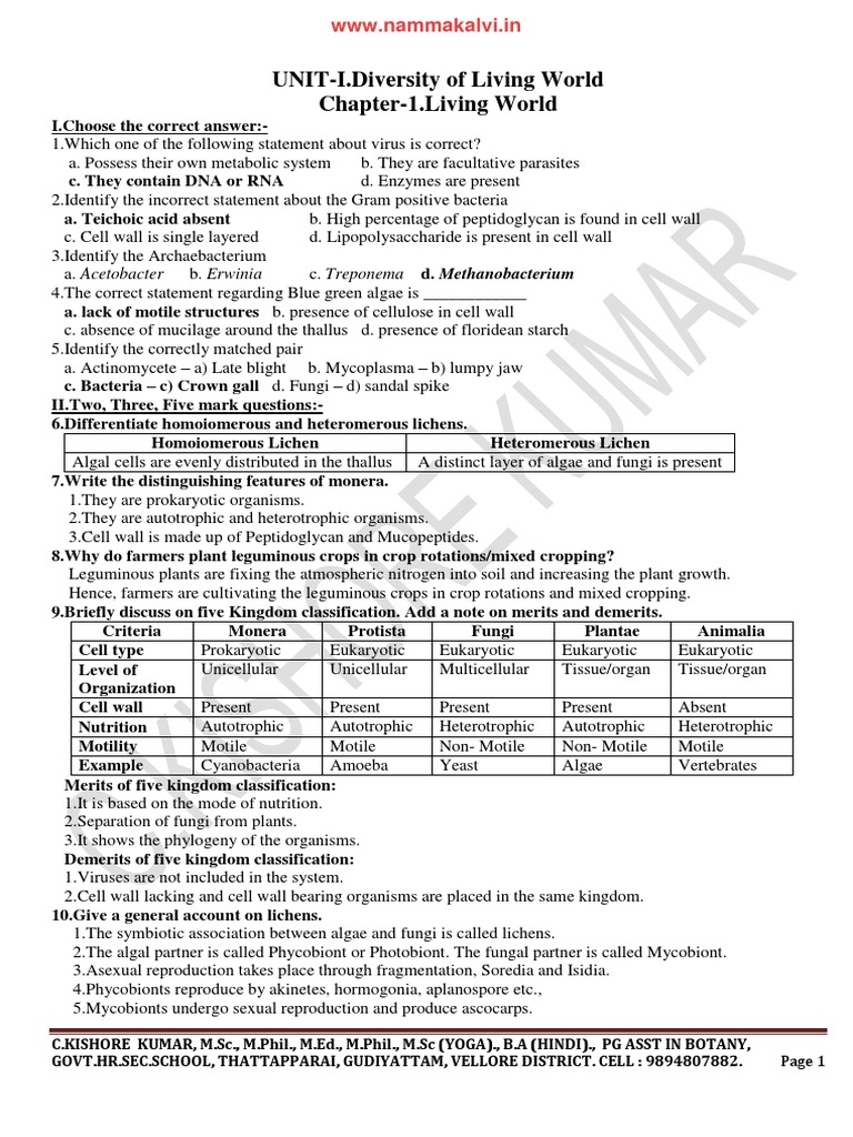 Namma Kalvi 11th Bio-Botany Study Material English Medium 219431 | PDF ...