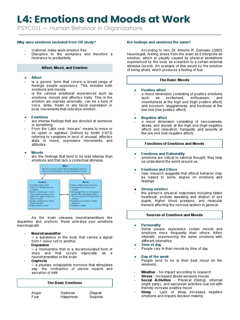 Hbo CH4-6 | PDF | Emotions | Decision Making
