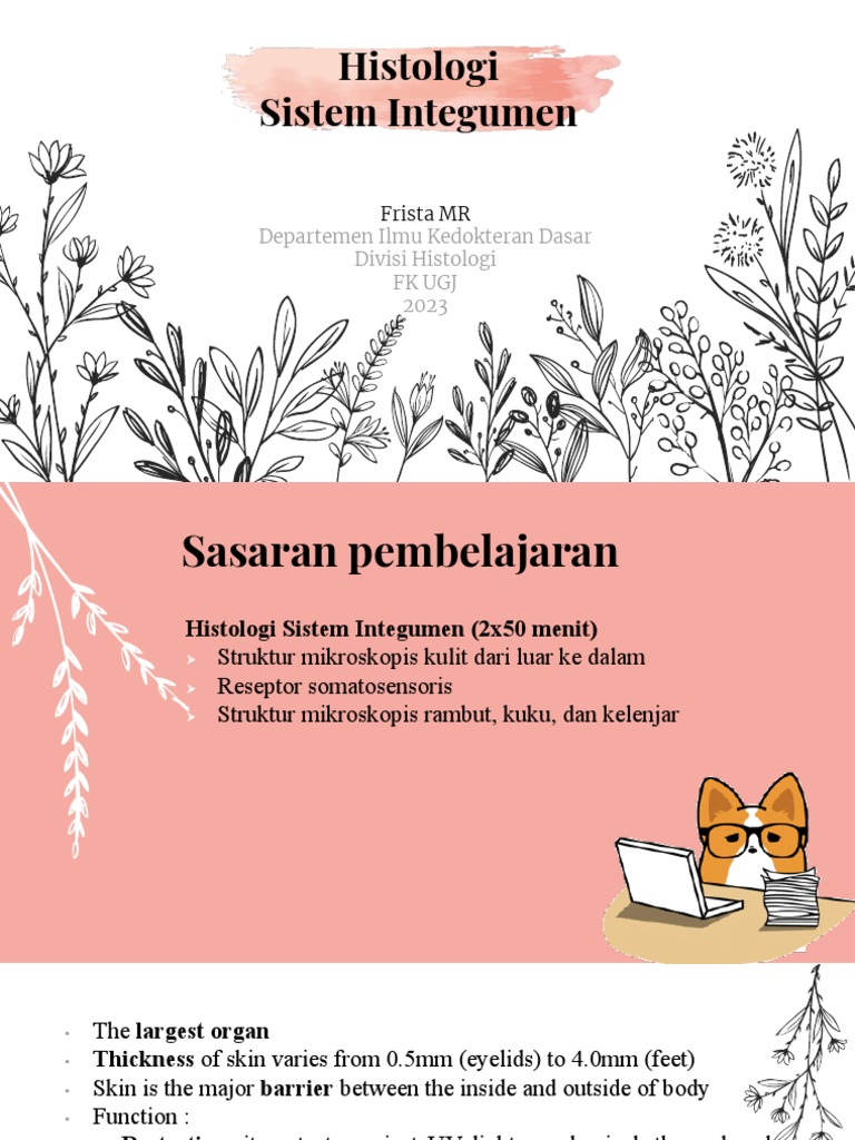 Histologi Sistem Integumen Manusia | PDF