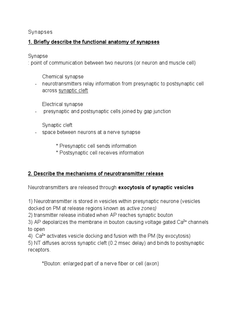 Synapses | PDF | Chemical Synapse | Inhibitory Postsynaptic Potential