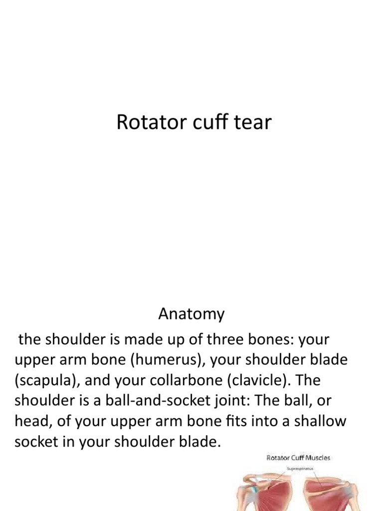 Rotator Cuff Tear | PDF