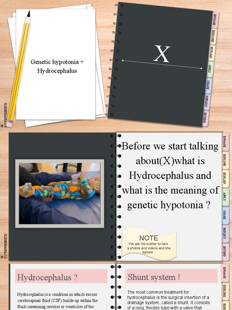 Hyperdoc Handbook SlidesMania | PDF | Neurology | Clinical Medicine