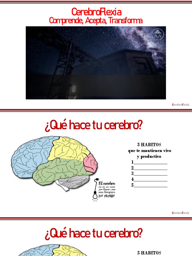 Cuarto Cerebro | PDF | Las emociones | Mente