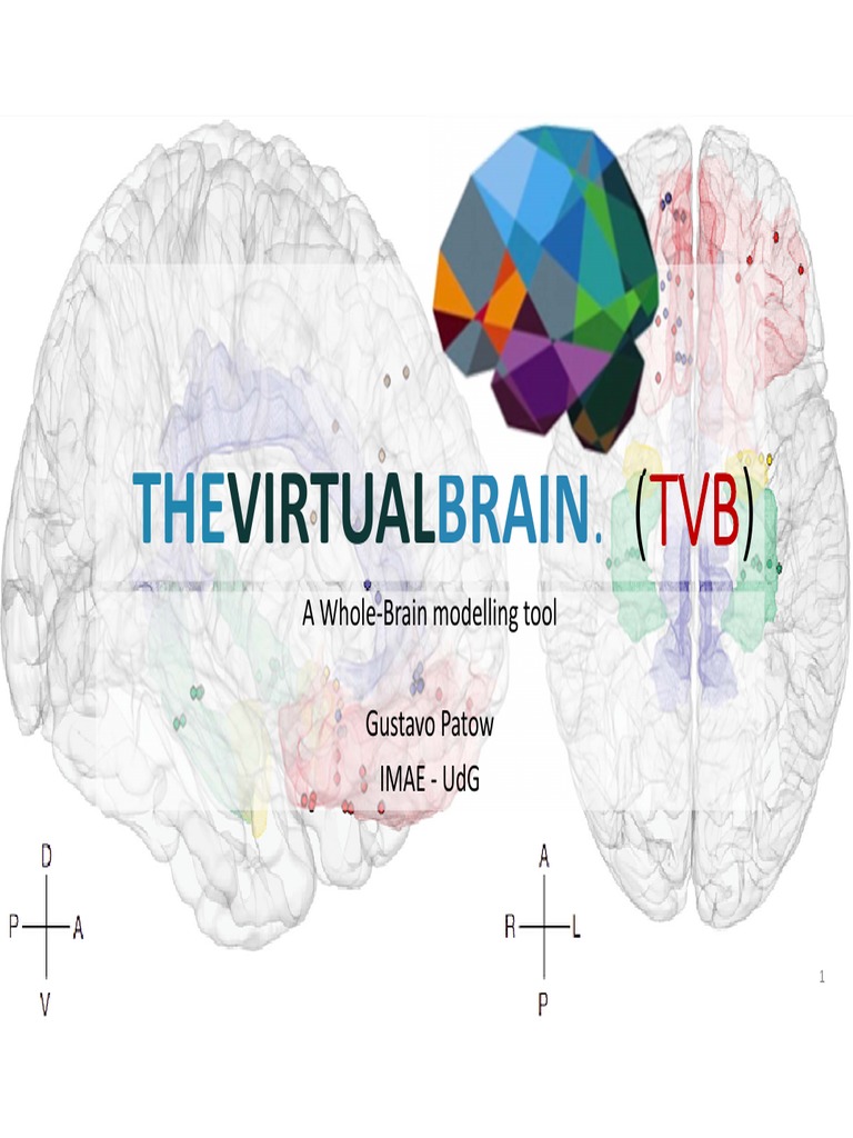 03b the Virtual Brain (TVB-Script) | PDF | Temporal Lobe | Epilepsy