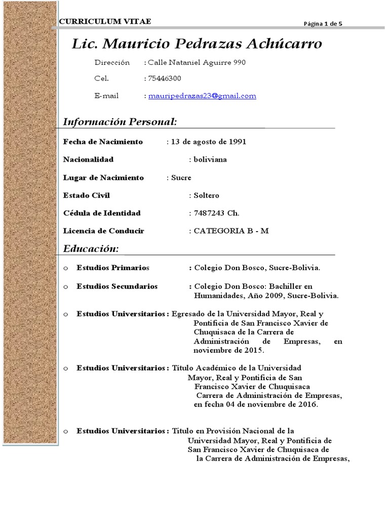 Mauricio - CURRICULUM1 | PDF | Bolivia | Educación más alta