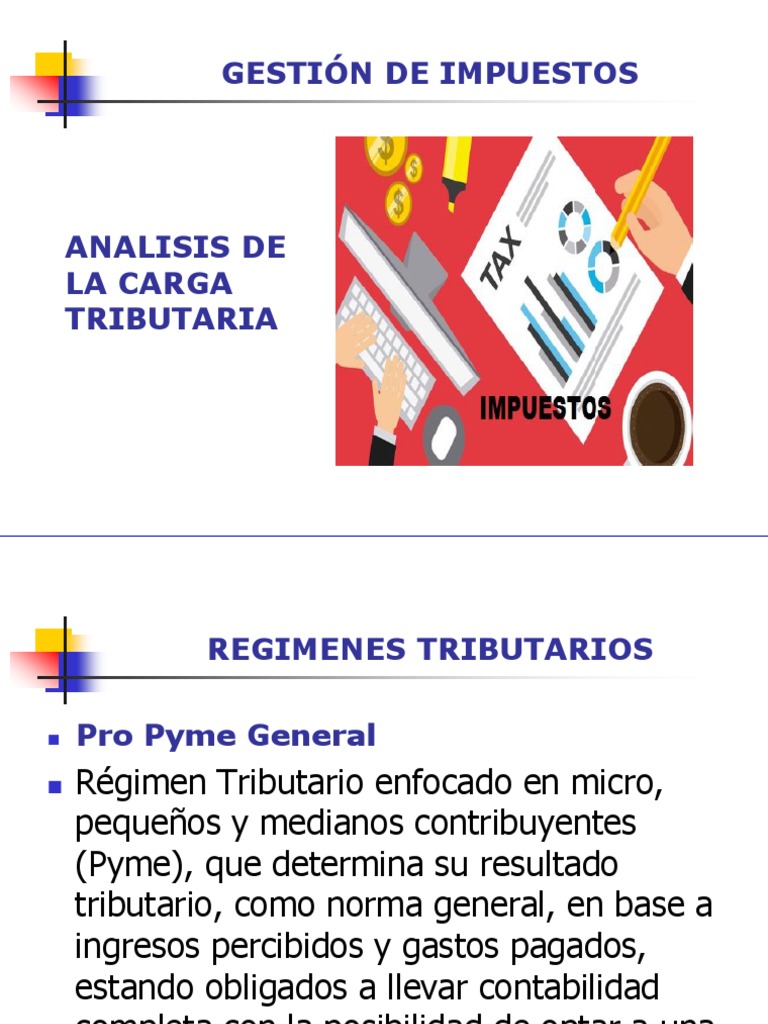 Regimen Pro Pyme General | Descargar gratis PDF | Impuestos | Contabilidad