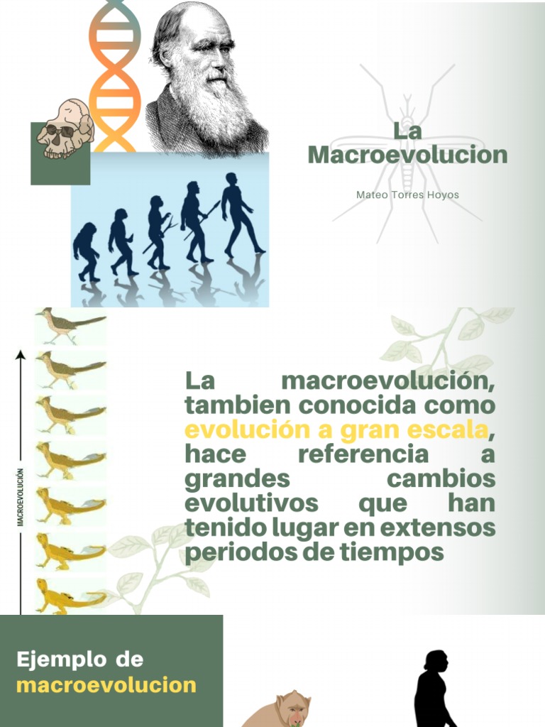 La Macroevolucion | PDF