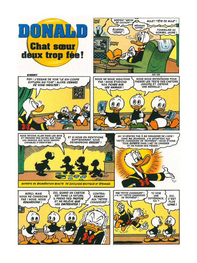 03 - Chat Soeur Deux Trop Fée | PDF