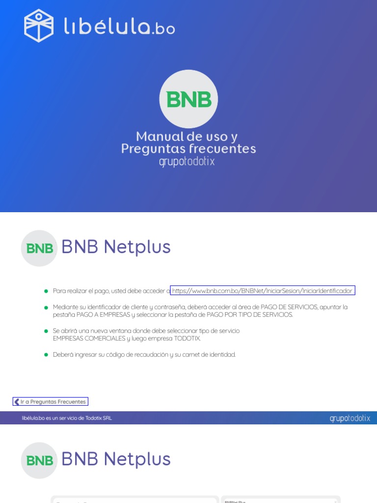 Manual BNB | PDF | Bancos | Internet