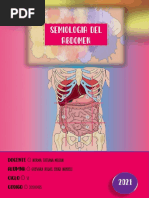 Cápsula de Glisson | PDF | Tejido adiposo | Riñón