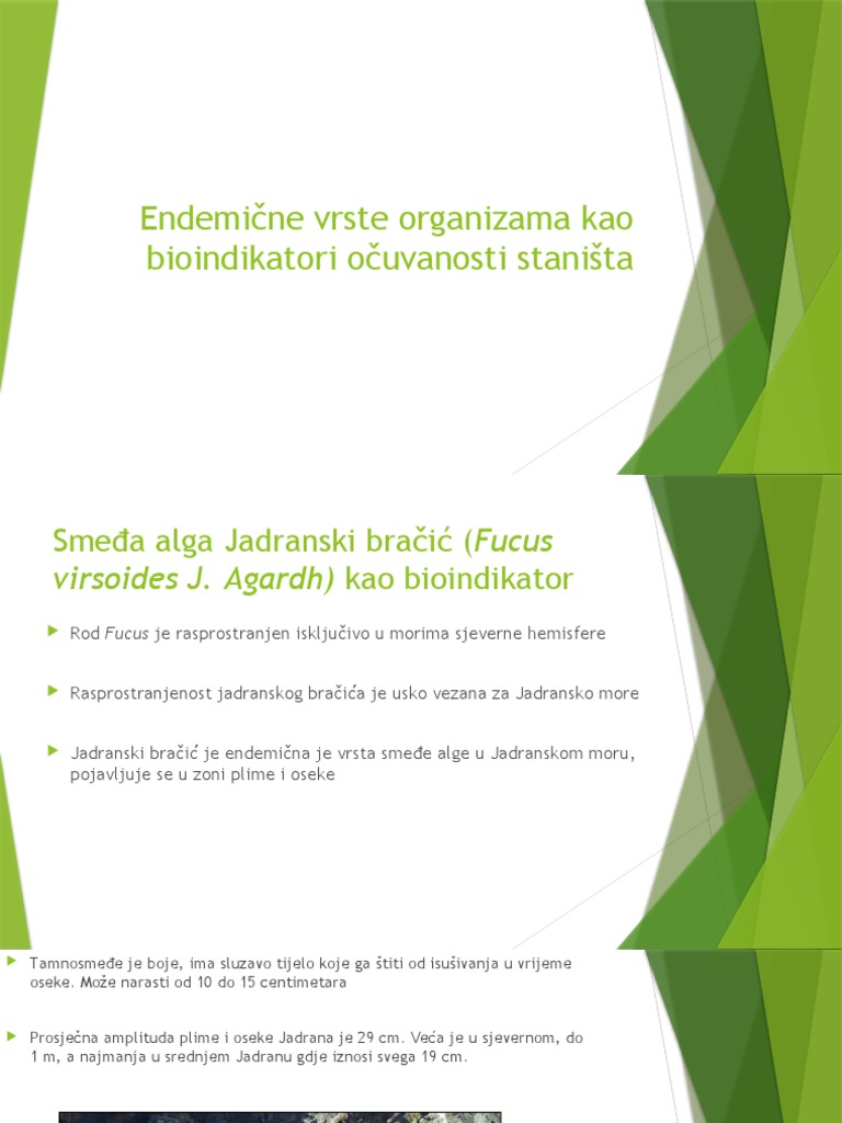 Endemične Vrste Organizama Kao Bioindikatori Očuvanosti Staništa | PDF