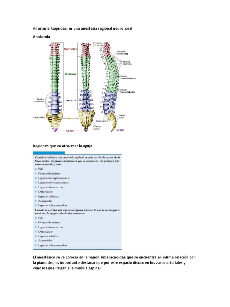 Anestesia Raquídea | PDF | Anestesia | Fluido cerebroespinal
