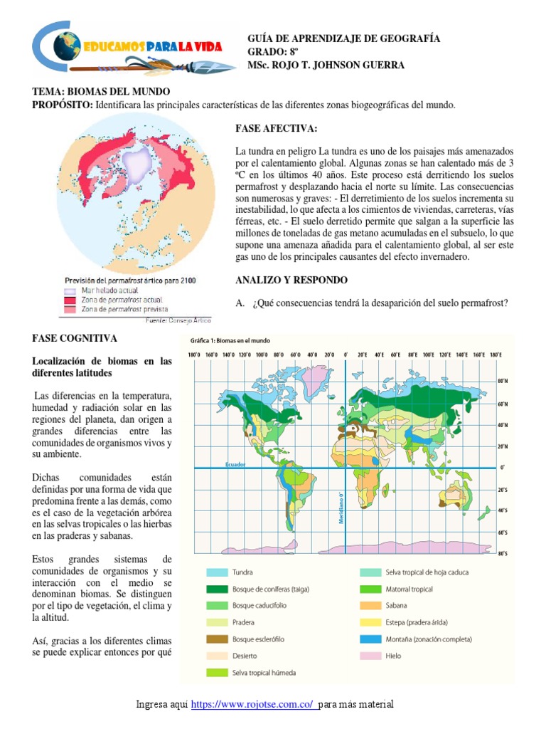 Biomas del Mundo para Estudiantes | PDF | Selva | Ecología de sistemas