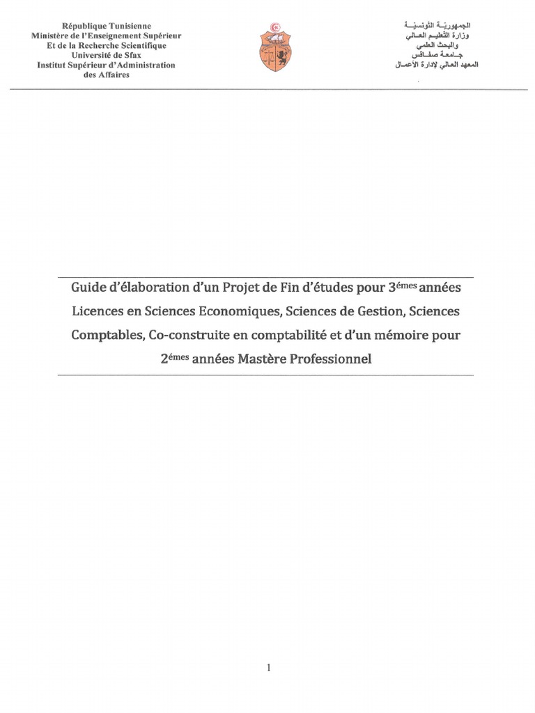 Guide D'élaboration D'un Pfe | PDF