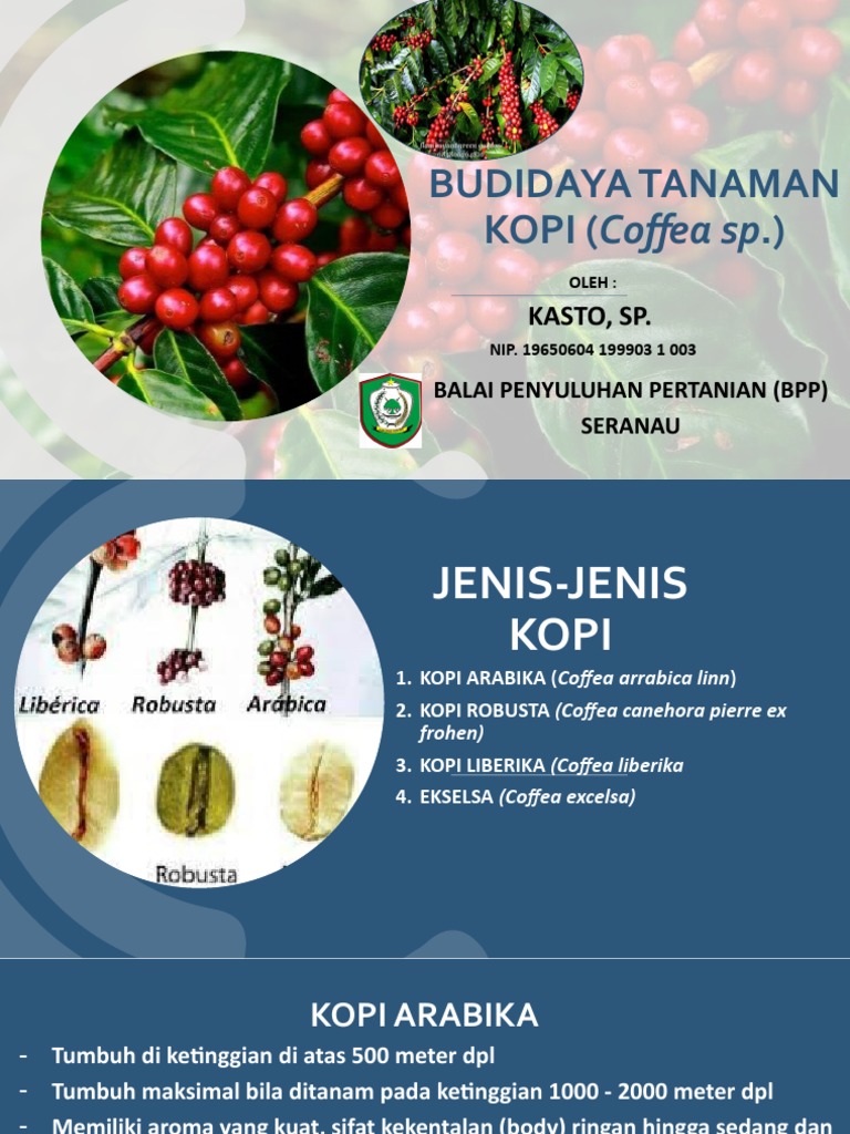 Budidaya Tanaman Kopi | PDF