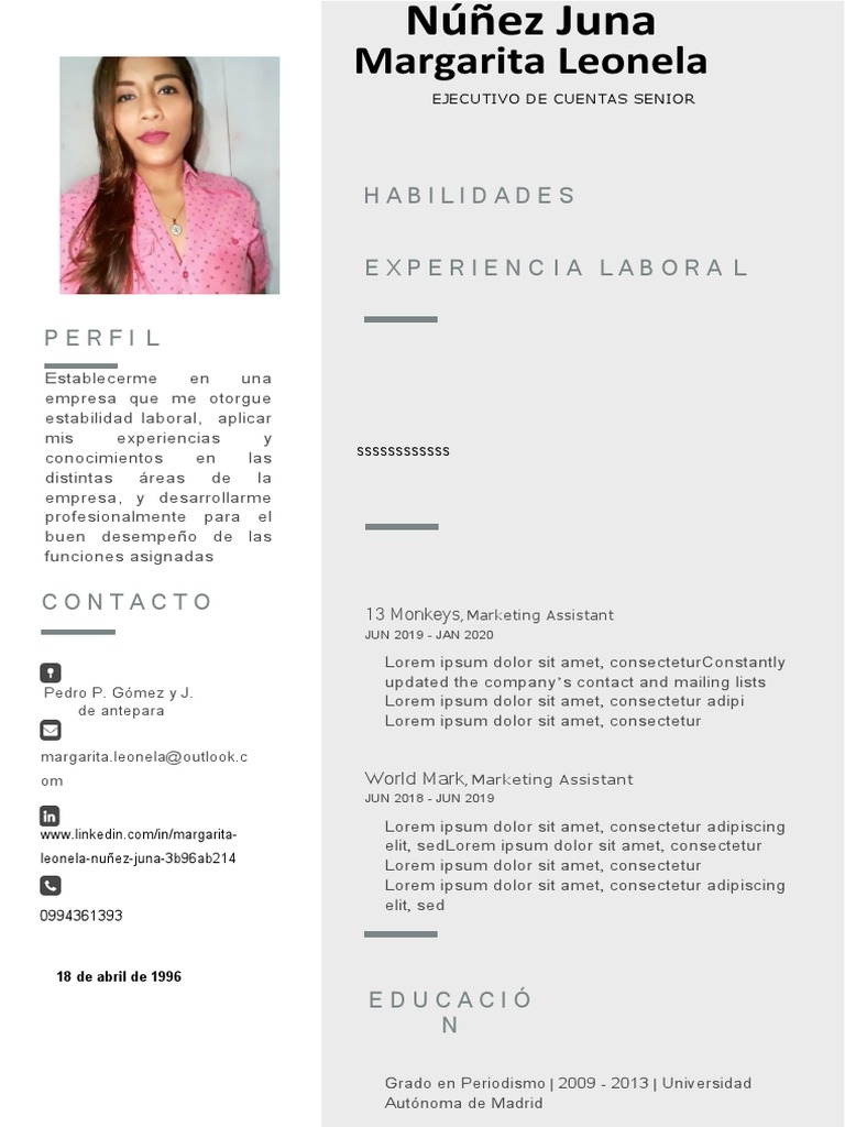 Nueva Plantilla Curriculum Vitae Gris Foto Lado | PDF